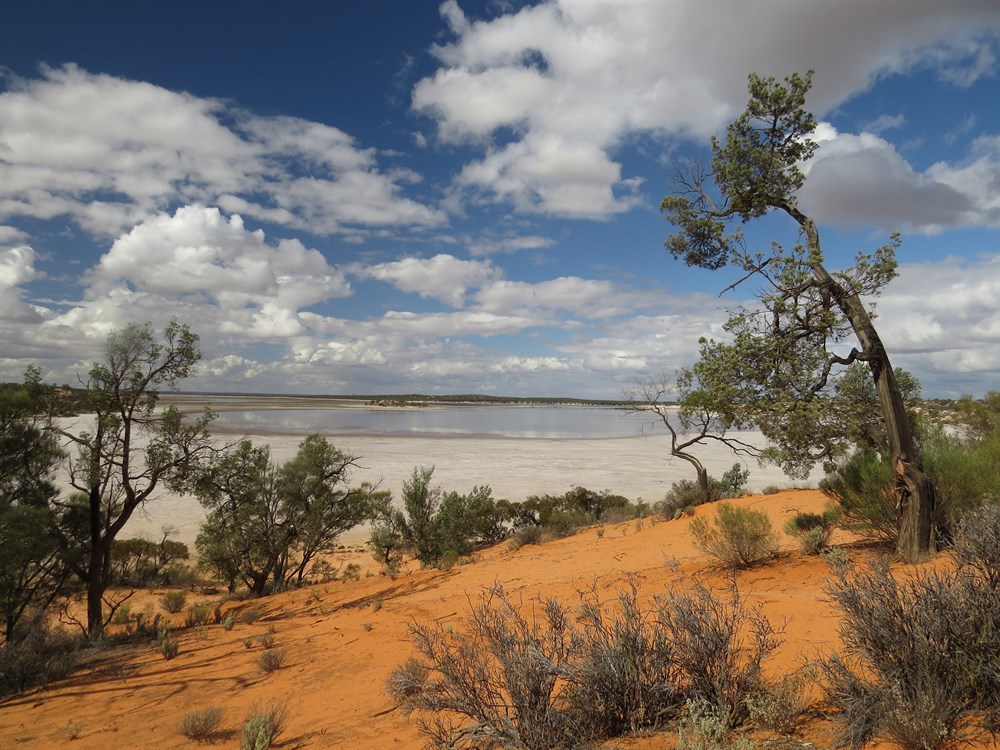 Googs Track @ ExplorOz Treks