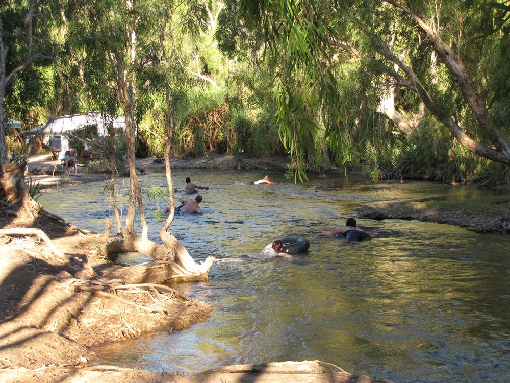 Gregory Downs Riverside Camping Area QLD @ ExplorOz Places