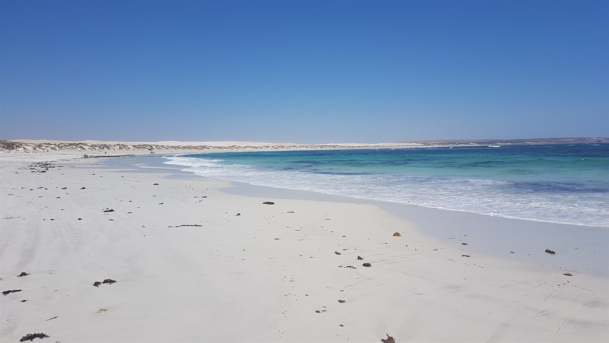 Sheringa Beach SA