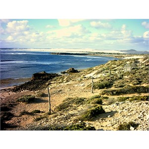 Point Sinclair Camp Ground SA @ ExplorOz Places