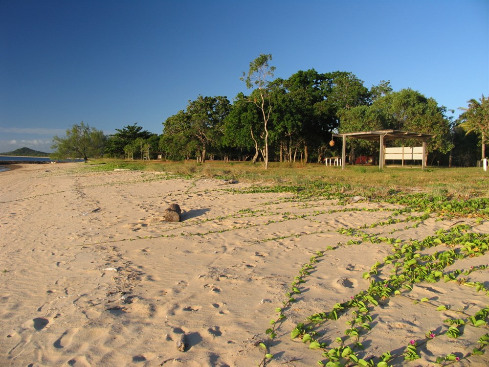 Loyalty Beach Campground and Fishing Lodge QLD @ ExplorOz Places